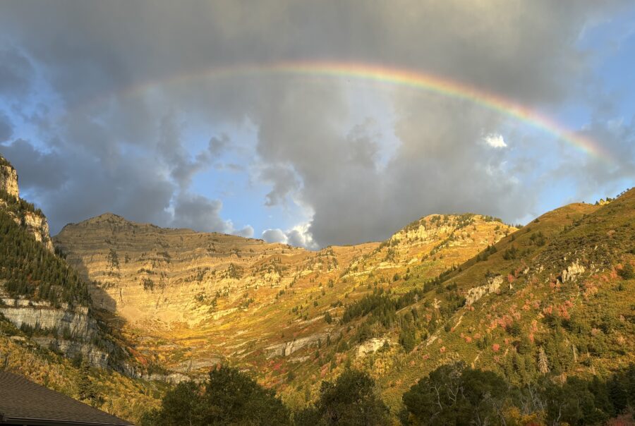 Home | Utah Foster Care